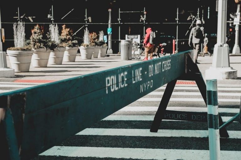 7 Steps to Mastering Instructional Control | Pattern Rebelion